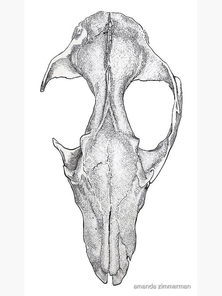"Fox Skull" Framed Art Print by salamandaz | Redbubble