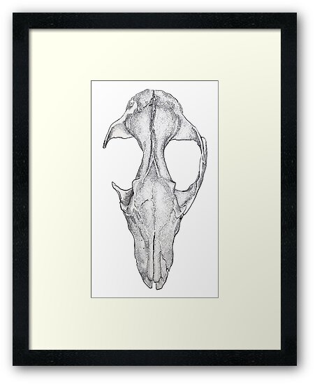 "Fox Skull" Framed Art Print by salamandaz | Redbubble