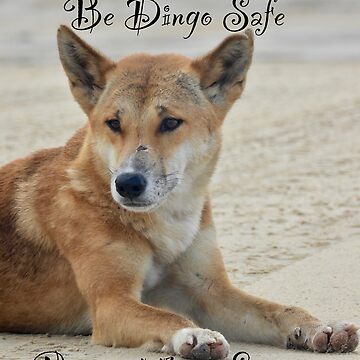 "Be dingo safe respect their space" Essential T-Shirt for Sale by Mark ...