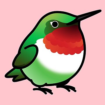 "Chubby ruby-throated hummingbird" Sticker for Sale by birdhism | Redbubble