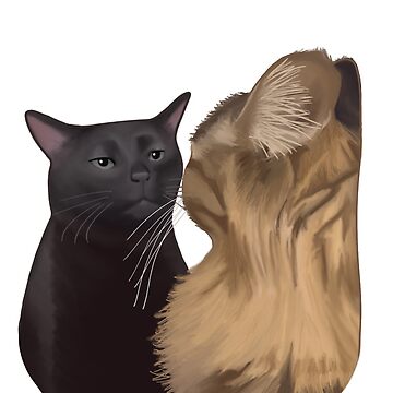 "Black Cat Zoning Out Meme" Sticker for Sale by hwymer | Redbubble