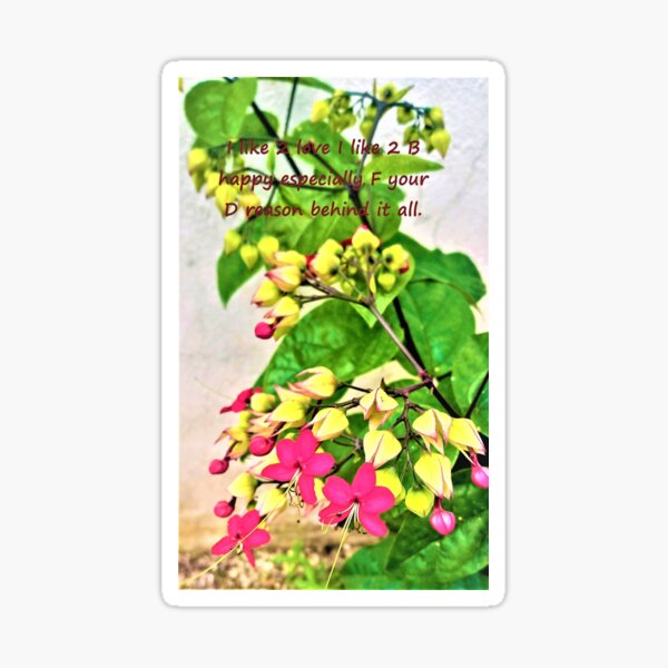 "Great combination of Color" Sticker for Sale by SheFriendly143 | Redbubble