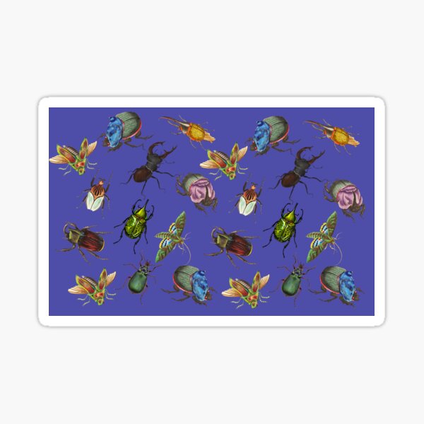"Beautiful Vintage Bugs and Insects Illustration" Sticker for Sale by ...