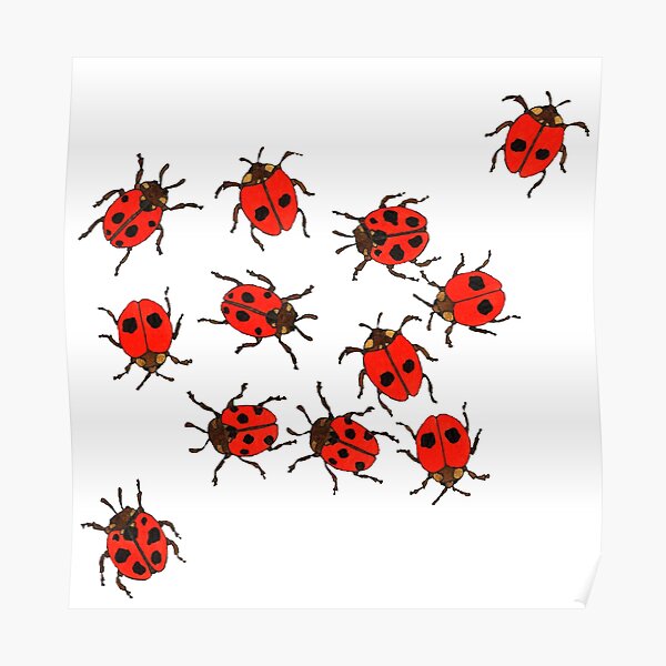 "Ladybirds released" Poster by vibeceramics | Redbubble