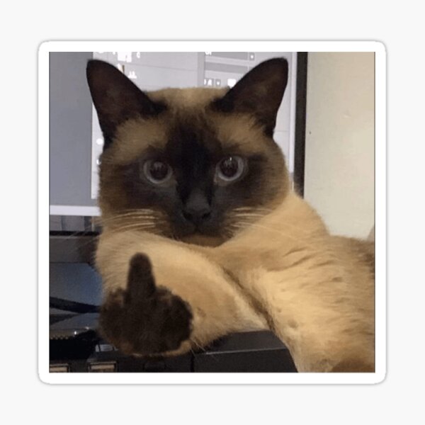 "Cat Middle Finger" Sticker for Sale by Piixiefae | Redbubble