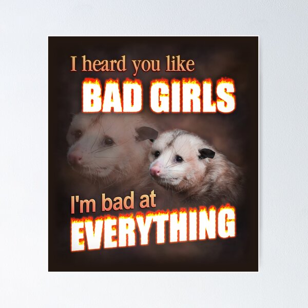 I Hear You Like Bad Girls Im Bad At Everything Possum Word Art