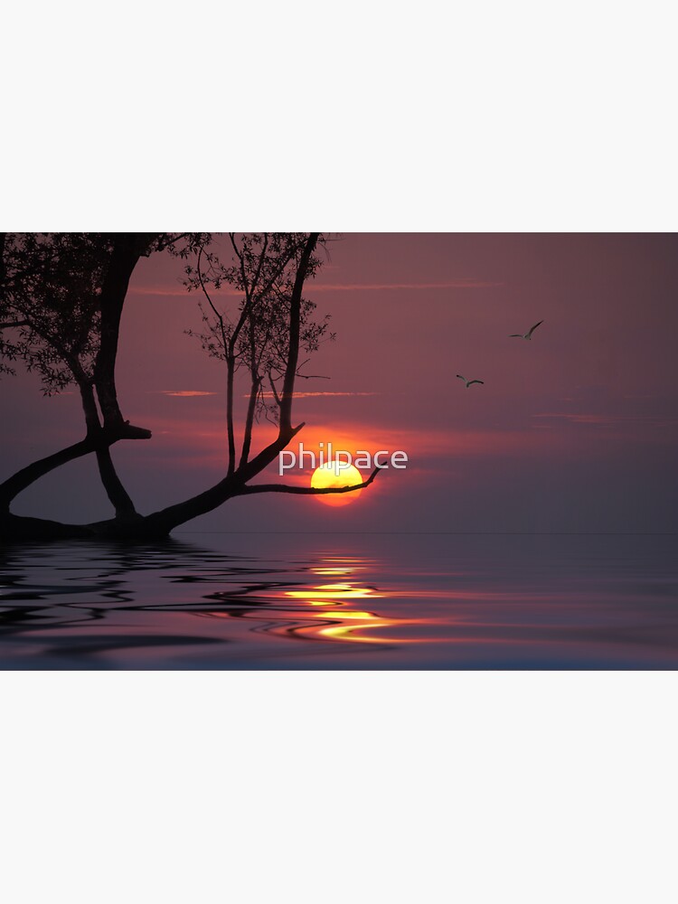 "Branching Out" Sticker for Sale by philpace | Redbubble