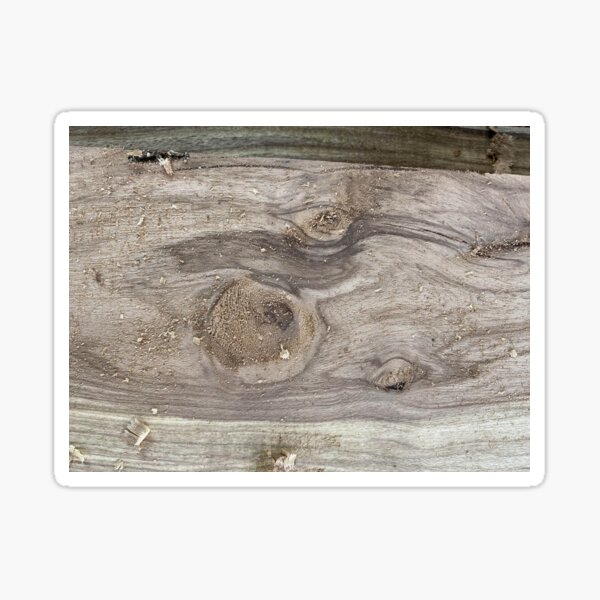 "swimming in walnut" Sticker by JAMerArc | Redbubble