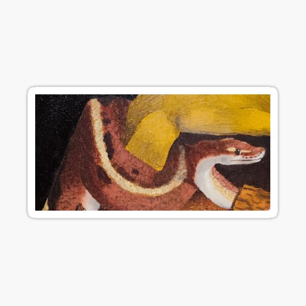 "Cute Ball Python in cave" Sticker for Sale by Kpenickart | Redbubble