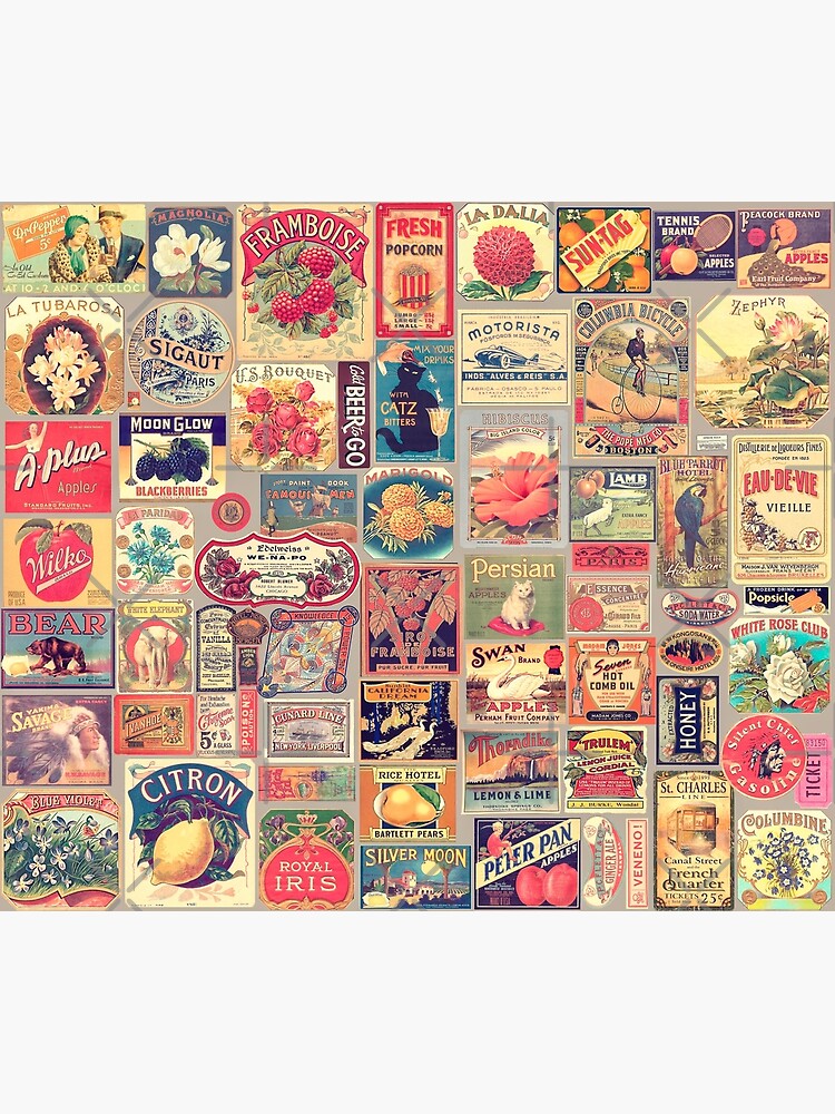 "Vintage Retro Labels Set" Poster for Sale by 3vaN | Redbubble