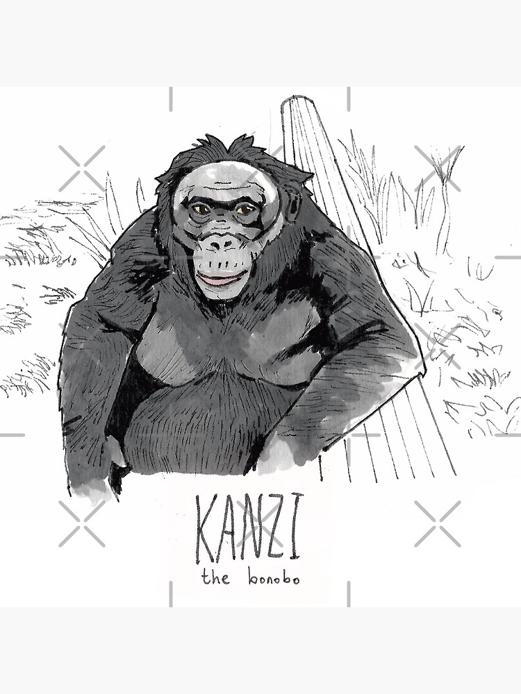 "Kanzi the bonobo" Art Board Print for Sale by Kanubrius | Redbubble