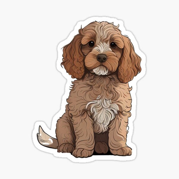 "A cute brown Cockapoo" Sticker for Sale by naturemenagerie | Redbubble