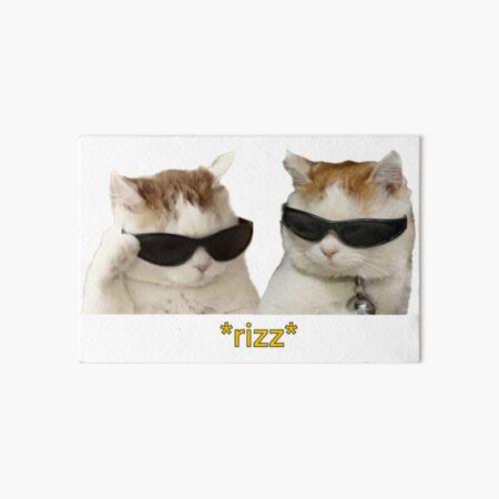 "Cool Cats in Sunglasses Rizz Meme" Art Board Print for Sale by ...