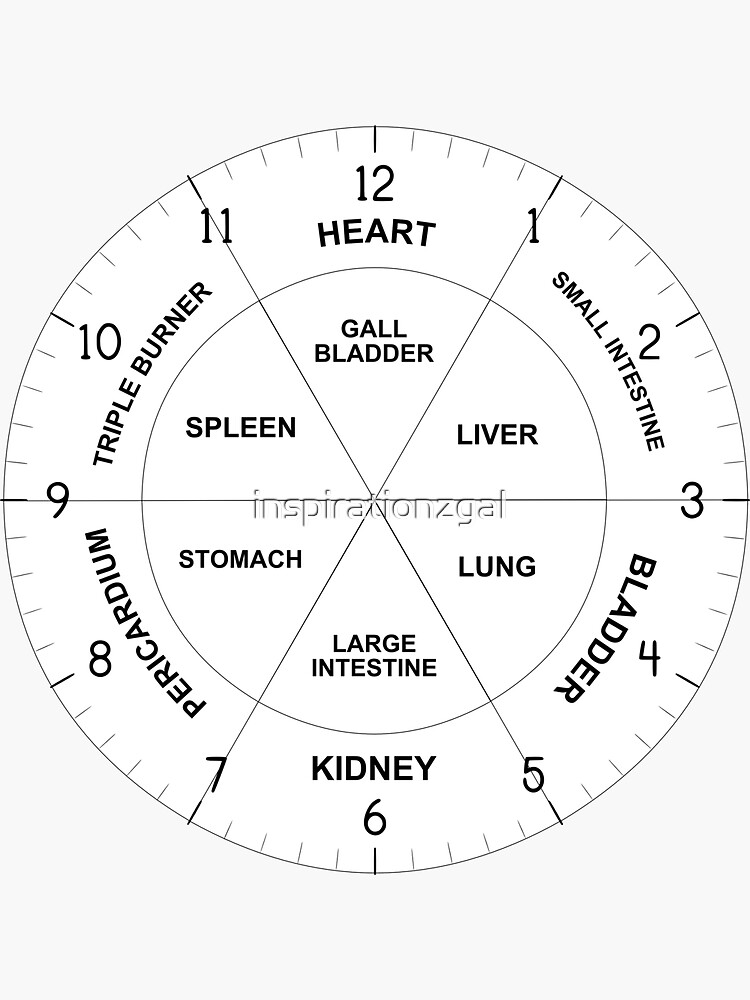 "TCM Traditional Chinese Body Clock Zang Fu Organ Hours Time - East ...
