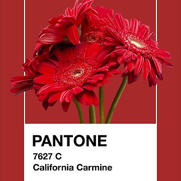 "Pantone 7627C California Carmine" Sticker for Sale by clairedause ...