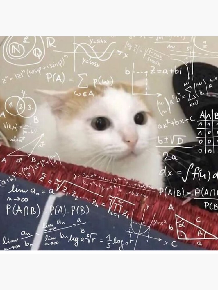 "Cat maths" Sticker for Sale by Alijna22 | Redbubble