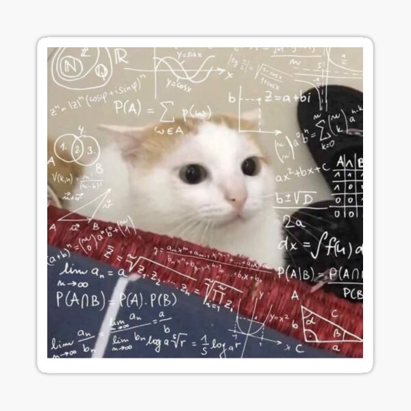"Cat maths" Sticker for Sale by Alijna22 | Redbubble
