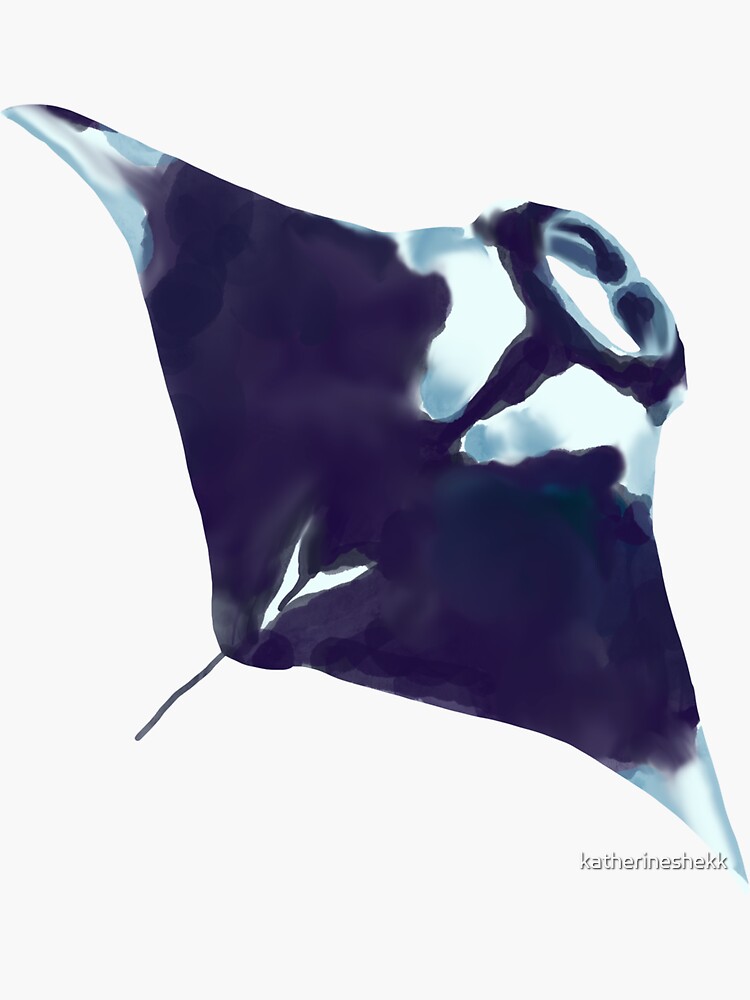 "Manta Ray sticker" Sticker for Sale by katherineshekk | Redbubble