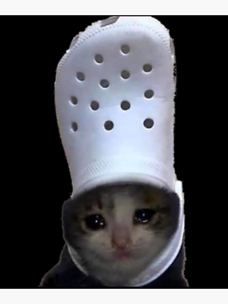 "Crying Cat Croc Meme " Poster for Sale by cqicmzsqytn55 | Redbubble