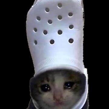 "Crying Cat Croc Meme " Poster for Sale by cqicmzsqytn55 | Redbubble