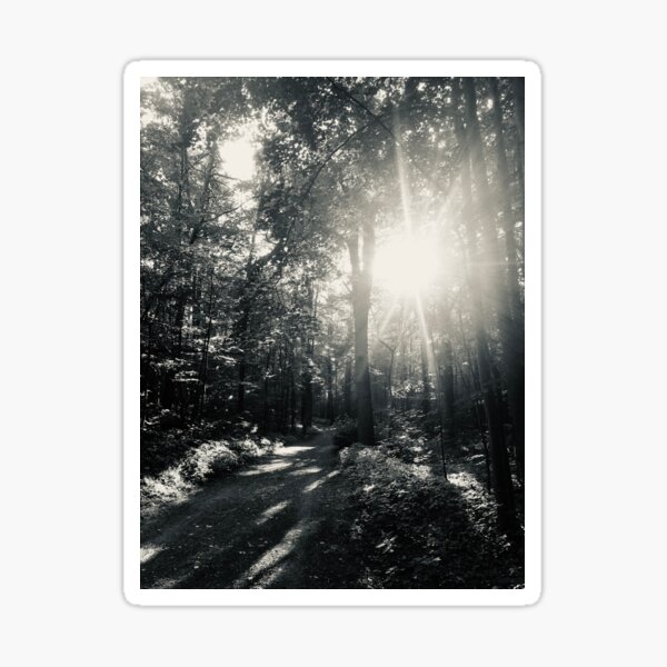"forest path" Stickerundefined by Faith-NatureArt | Redbubble