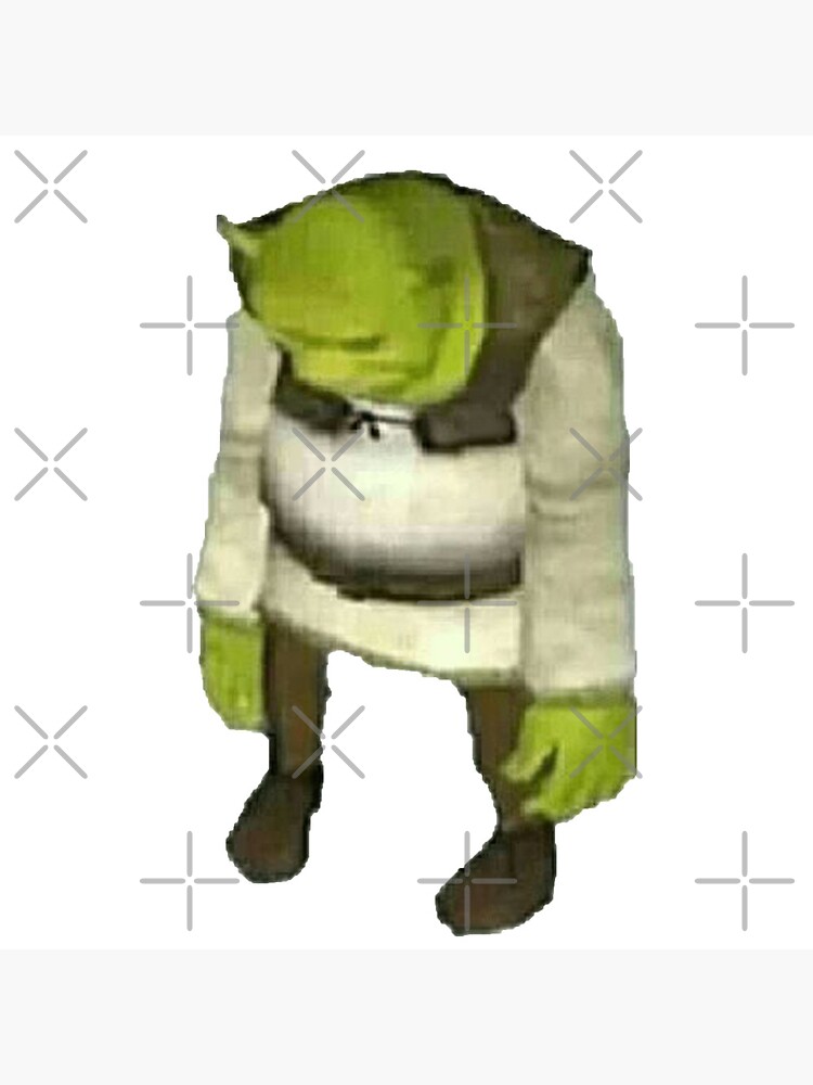 Shrek Upset