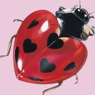 "ladybug heart" Sticker for Sale by rubyslittleshop | Redbubble