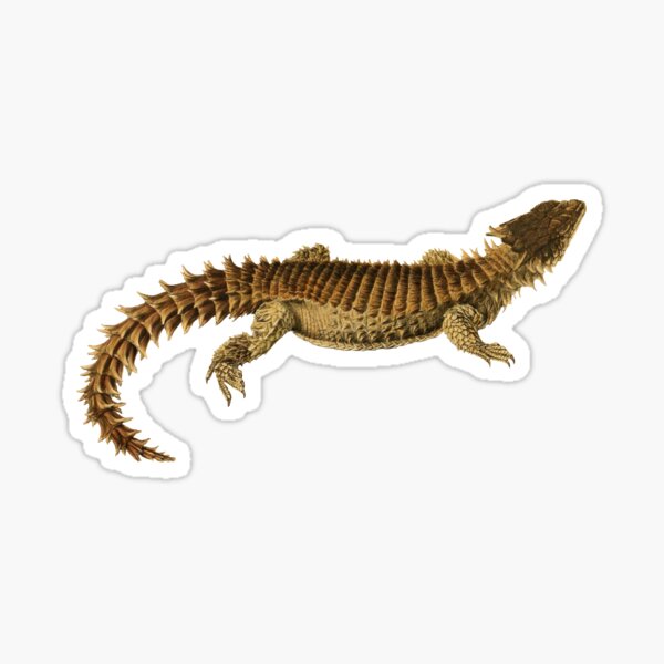 "Giant Dragon Lizard" Sticker for Sale by EdgarCurious | Redbubble