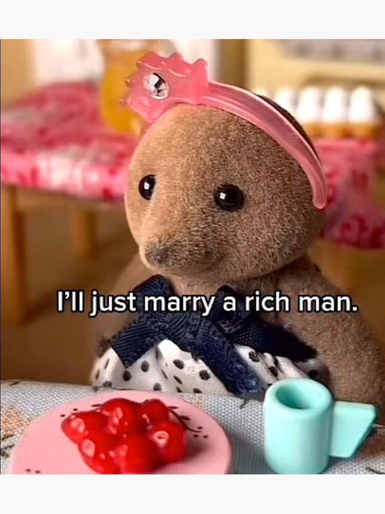 "marry a rich man sylvanian meme" Sticker for Sale by quinnmoroz | Redbubble