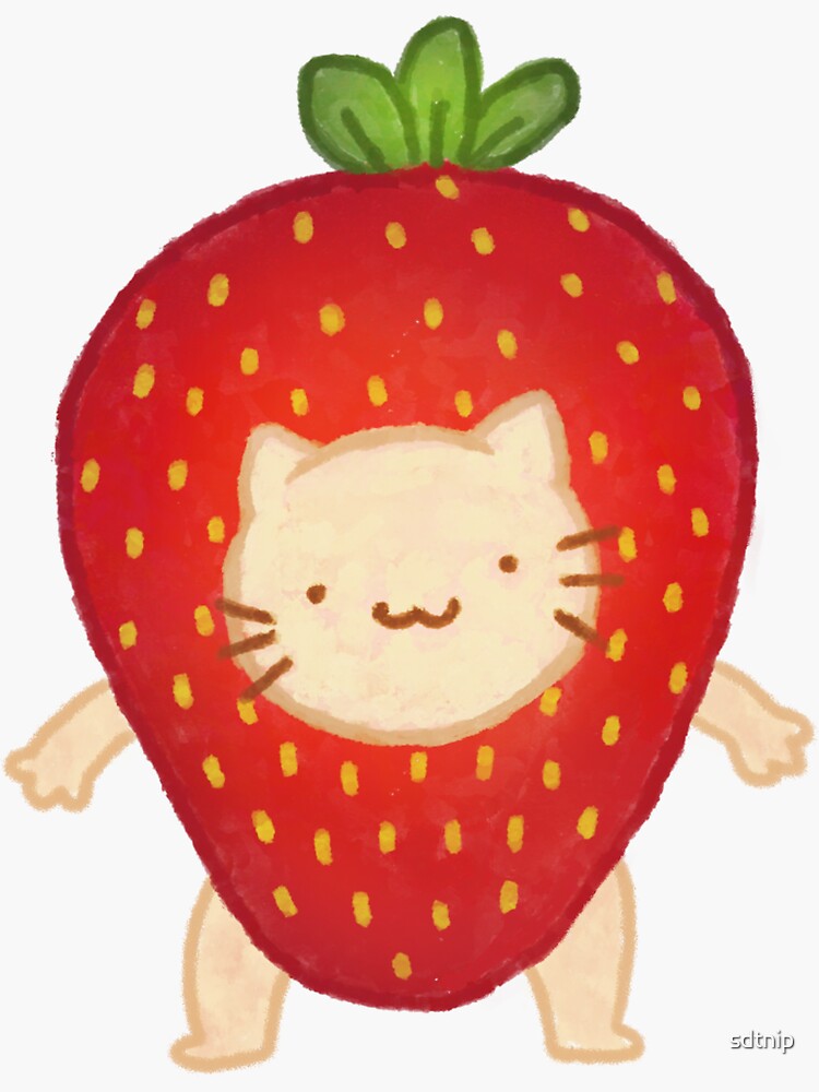 Pegatina con la obra «Gato fresa meme» de sdtnip | Redbubble