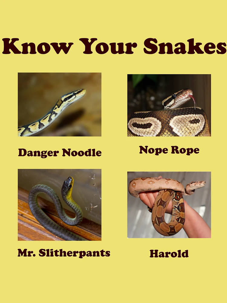 Nope Snakes