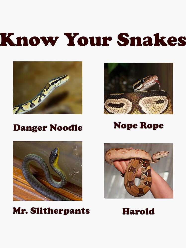"Know Your Snakes Nope Rope Danger Noodle" Sticker for Sale by Croneda ...