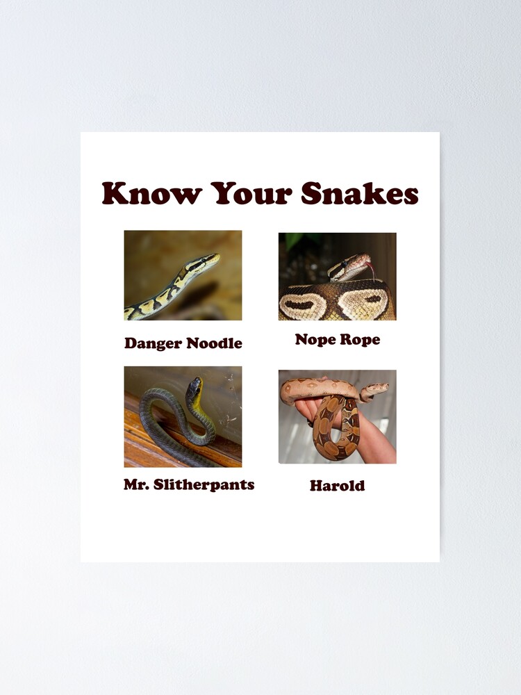 "Know Your Snakes Nope Rope Danger Noodle" Poster for Sale by Croneda ...