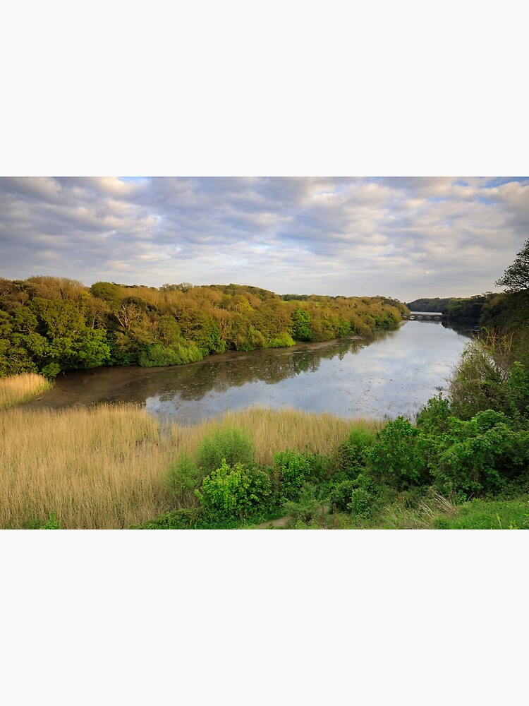 "Towards Eight Arch Bridge (Stackpole)" Photographic Print for Sale by ...