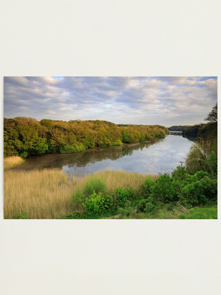 "Towards Eight Arch Bridge (Stackpole)" Photographic Print for Sale by ...