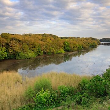 "Towards Eight Arch Bridge (Stackpole)" Photographic Print for Sale by ...