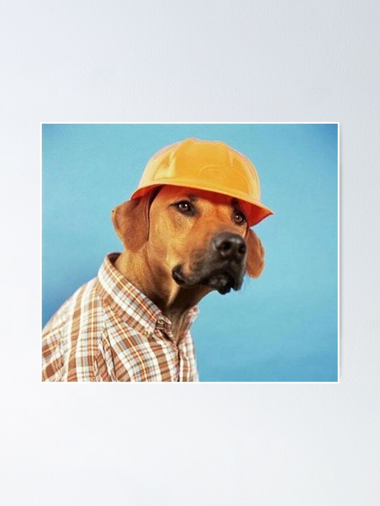 "Safety Doggo" Poster by Ruzakai | Redbubble