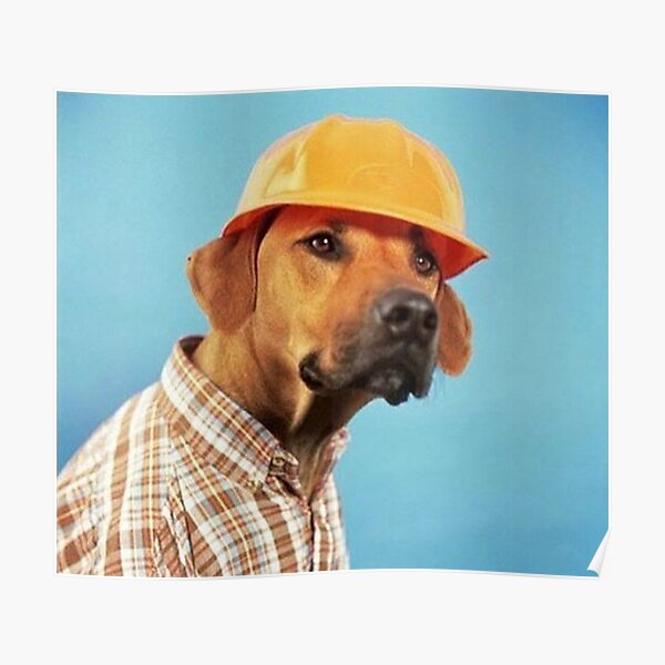 "Safety Doggo" Poster by Ruzakai | Redbubble