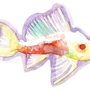 "Watercolor Albino Pleco, watercolor fish drawing" Sticker for Sale by ...