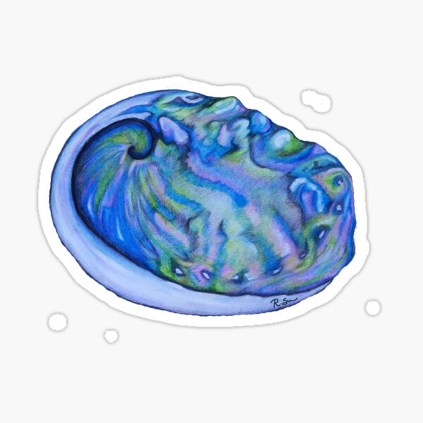 "Abalone" Sticker for Sale by Coota-Art | Redbubble