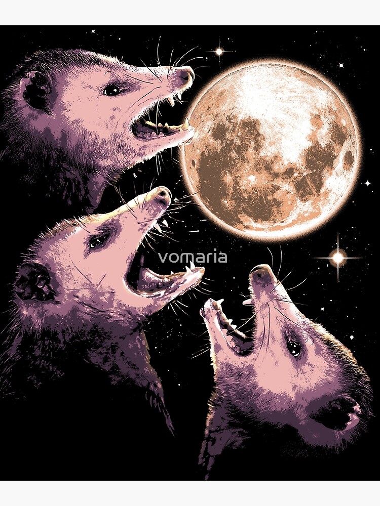 "Three Opossums Howling at the Moon Funny Possum 3 Opossum" Poster for ...