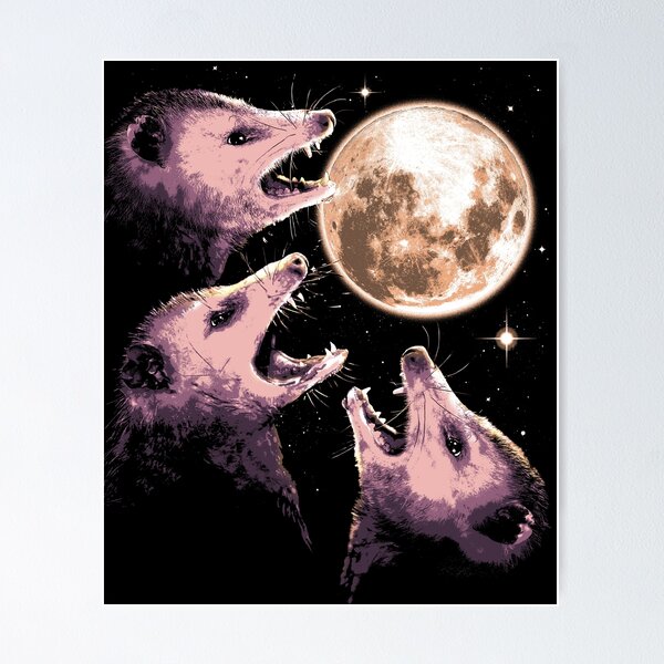 "Three Opossums Howling at the Moon Funny Possum 3 Opossum" Poster for ...