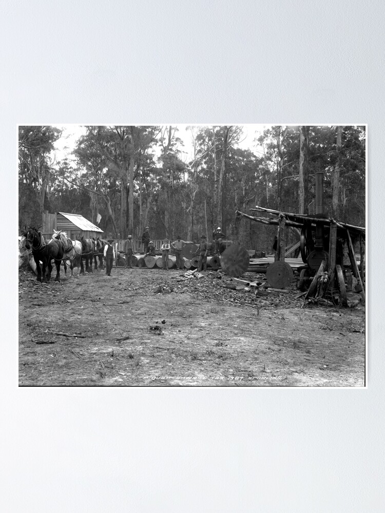 "The 1800s Tasmanian Bush Sawmill. Spurling" Poster for Sale by taspaul ...