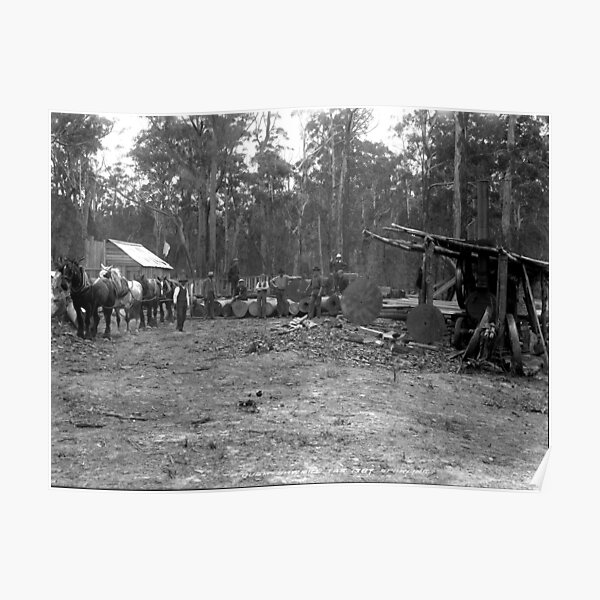 "The 1800s Tasmanian Bush Sawmill. Spurling" Poster for Sale by taspaul ...