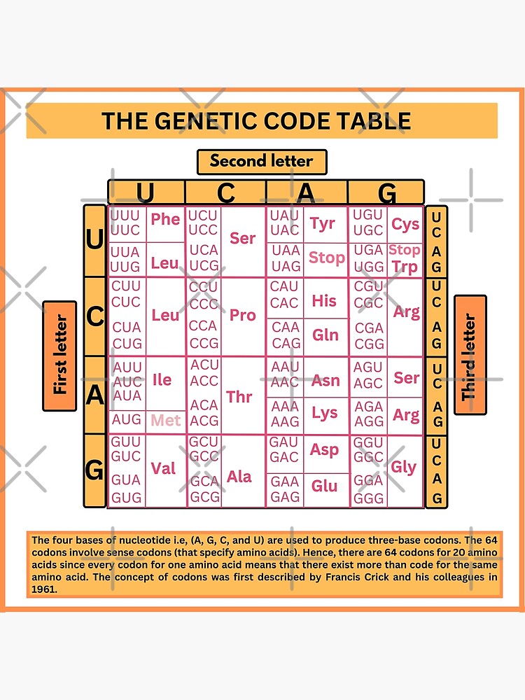 "The genetic code table for genetics" Poster for Sale by ScienceStores ...