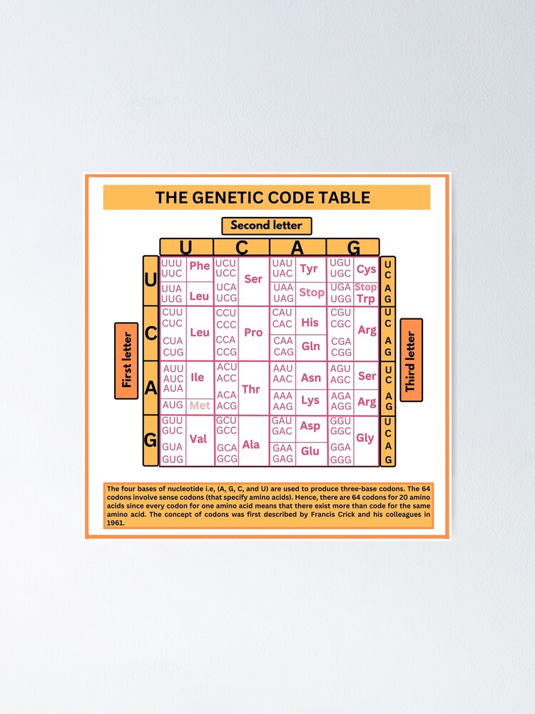 "The genetic code table for genetics" Poster for Sale by ScienceStores ...