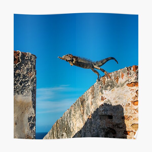 "Jumping Iguana Leap Of Faith" Poster by PurefireDesigns | Redbubble