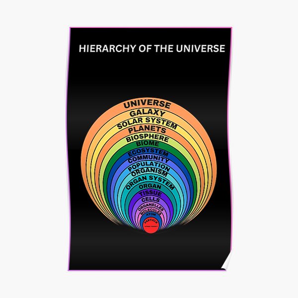 Hierarchy Of The Universe From Particle To Universe Poster For Sale