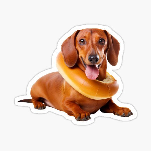 Waldi Gifts & Merchandise for Sale | Redbubble