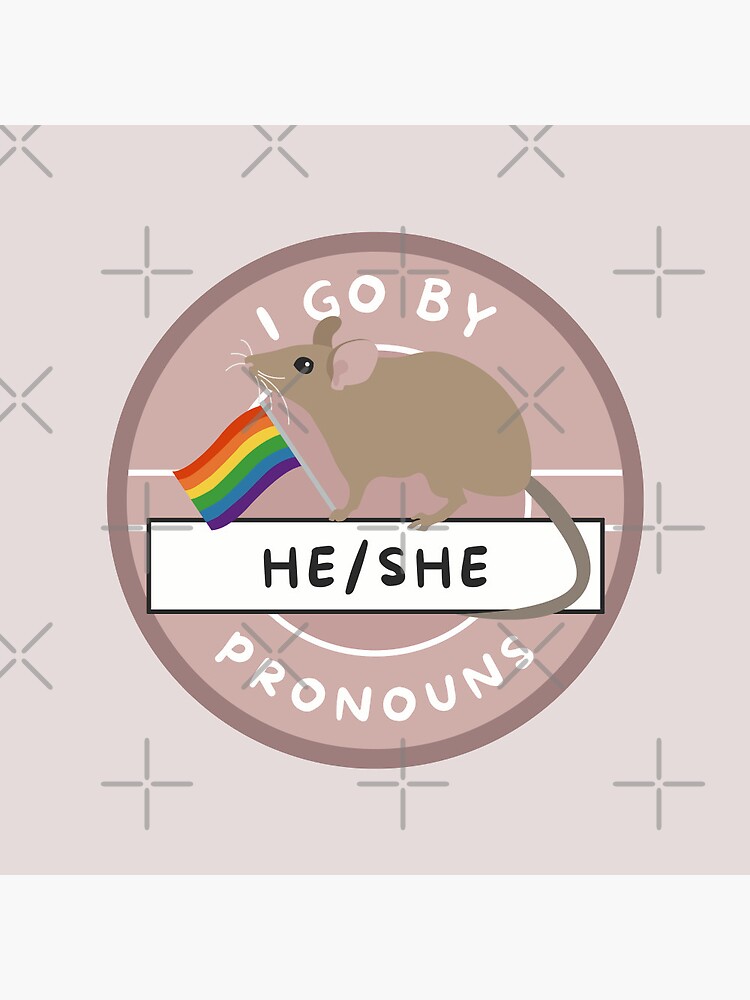 "I Go By He/She Pronouns | LGBTQ Pride Rat | He She Pronoun" Pin for Sale by FuriaLGBTQ | Redbubble